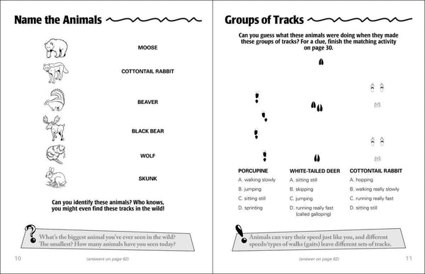 Animal Tracks Activity Book